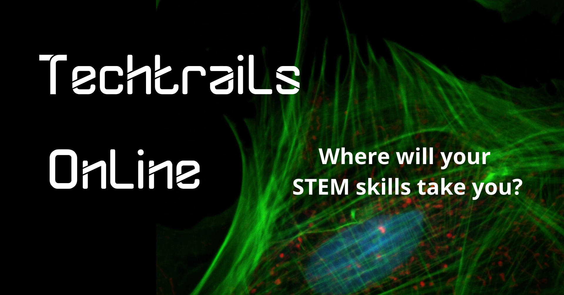 For Students - Techtrails